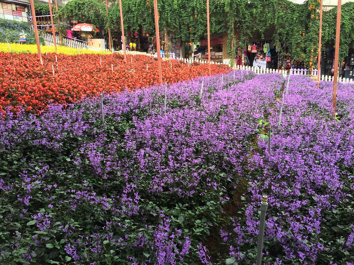 10 Must Go Attractions in Cameron - Comfort 99 Transport